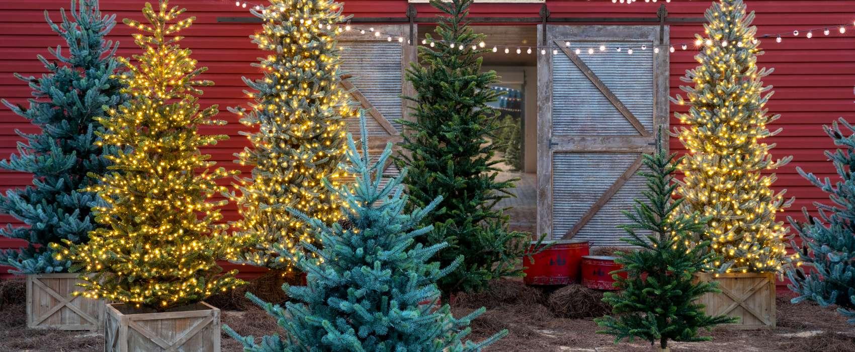 Christmas Trees & Stocking Holders | Vintage Crossroads